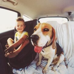 Ejemplos de "next to" en inglés - Ejemplos.in